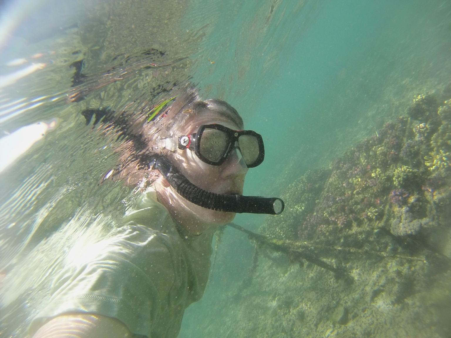Indonesia is world leader in coral reef preservation – Bali Coral Farm